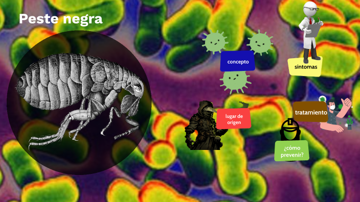 Peste Negra 1 by Lucas Andres Ocampo on Prezi