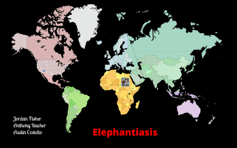 Elephantiasis project for Honors Anatomy by Reagan Fisher on Prezi