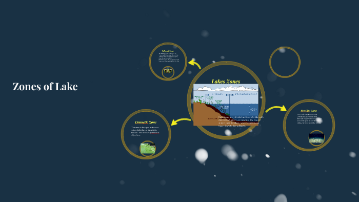 Zones of Lake by Brian Kim on Prezi