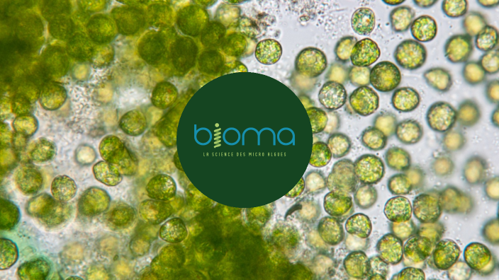 Bioma by Clémentine Mercier on Prezi