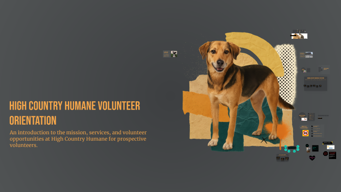 High Country Humane Volunteer Orientation by Milo Mirey on Prezi
