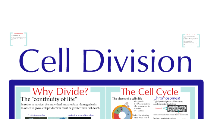 AP Biology - Cell Division by Eric Friberg on Prezi