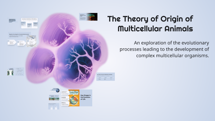 The Theory of Origin of Multicellular Animals by Баха Усанов on Prezi