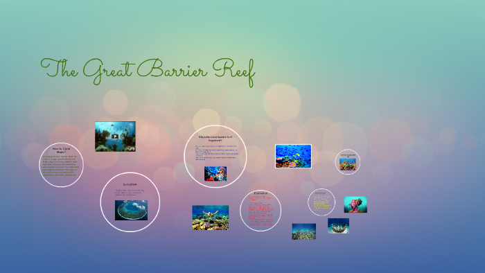 The Great Barrier Reef by Abigail Gilmore on Prezi