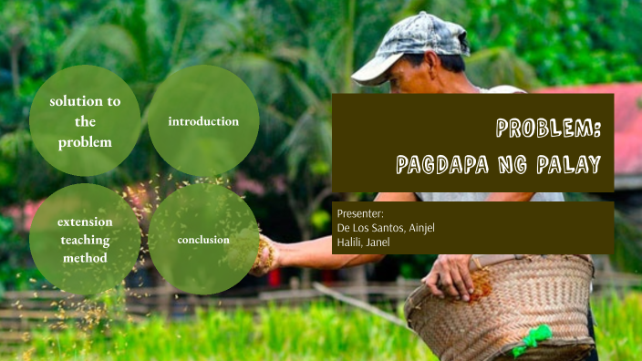 Pagdapa ng Palay by Ainjel De Los Santos on Prezi