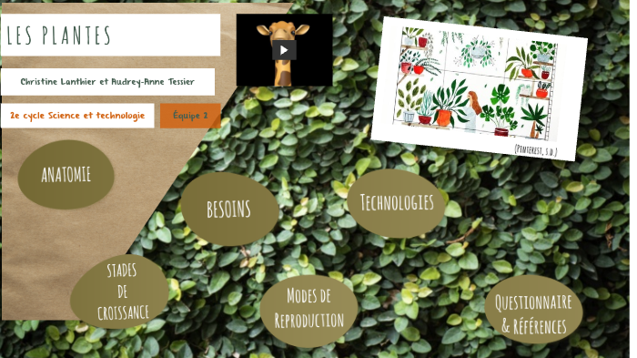 Les plantes 2e cycle by Christine Lanthier on Prezi