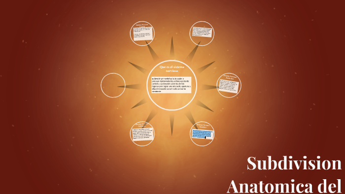 Subdivision Anatomica del Sistema Nervioso by elizabeth romero soto on ...