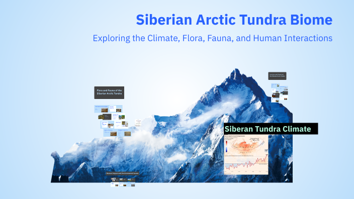 Siberian Arctic Tundra Biome by Josiah Jones on Prezi