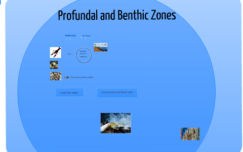 Profundal and Benthic zones by Richard Stratton on Prezi