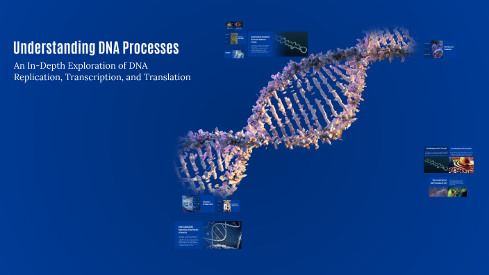 Understanding DNA Processes by Nehal Al on Prezi