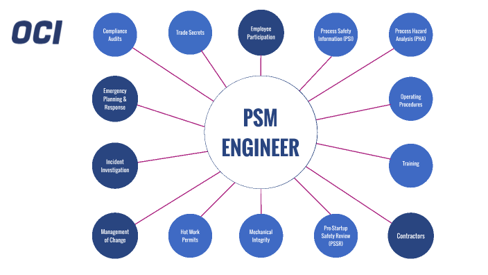 PSM Improvement Plan by on Prezi