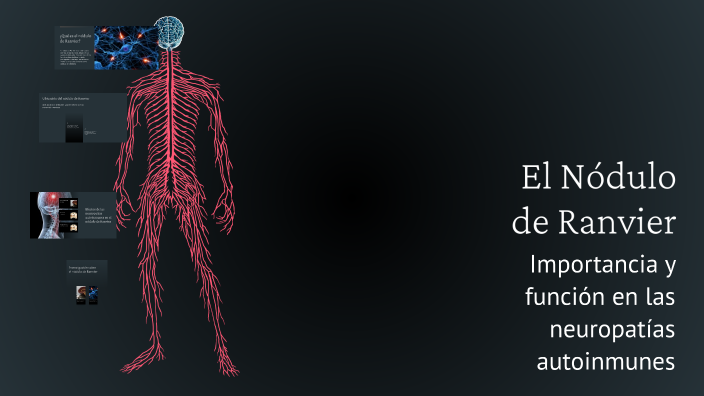 El Nódulo de Ranvier by GBS|CIDP España on Prezi
