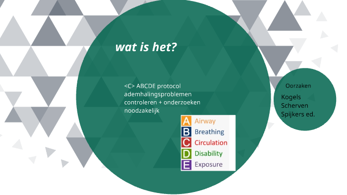 ZHKH by jennifer donker on Prezi