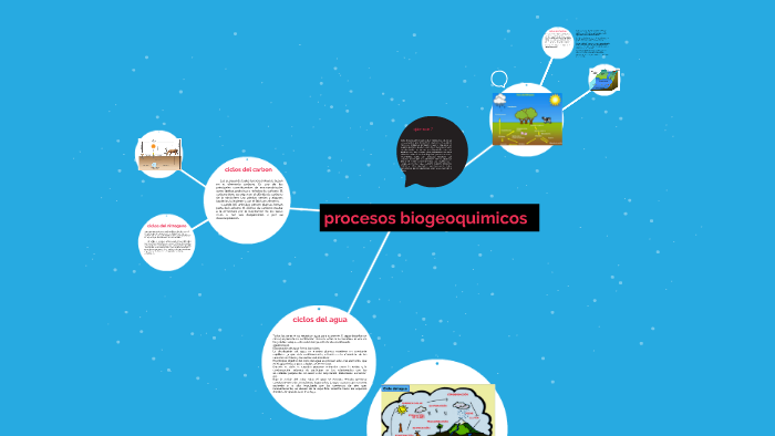 procesos biogeoquimicos by Daniela Sanmiguel on Prezi
