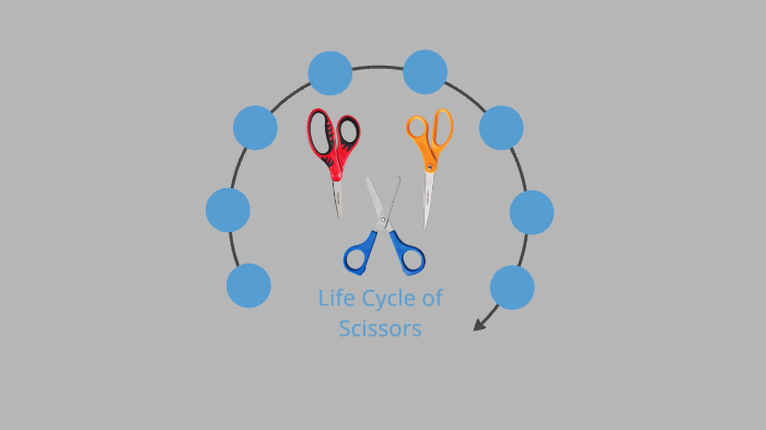 Life cycle of scissors by alexa baldauff on Prezi