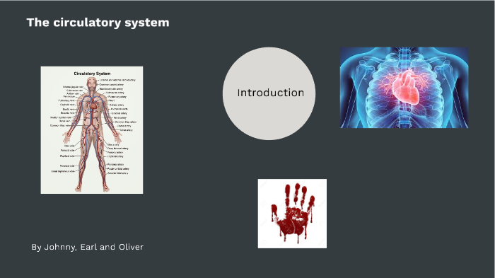 The Circulatory System by johnny guan on Prezi