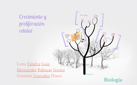 Crecimiento y proliferacion celular by Diana Guzman on Prezi