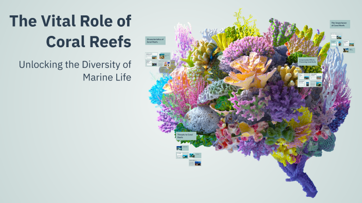 The Vital Role of Coral Reefs by Daniel Stokes on Prezi