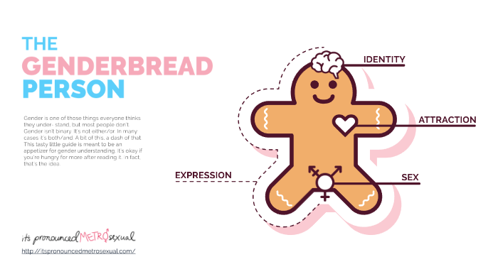 THE GENDERBREAD PERSON by Igor Lacerdino on Prezi