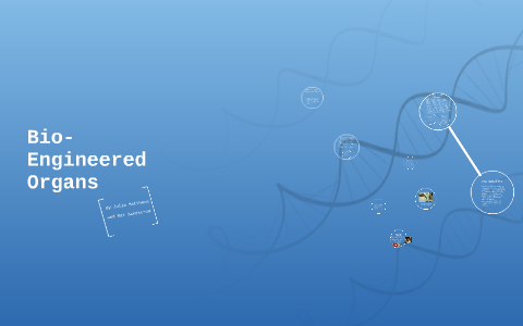 Bio-Engineered Organs by Kat Sandstrom on Prezi