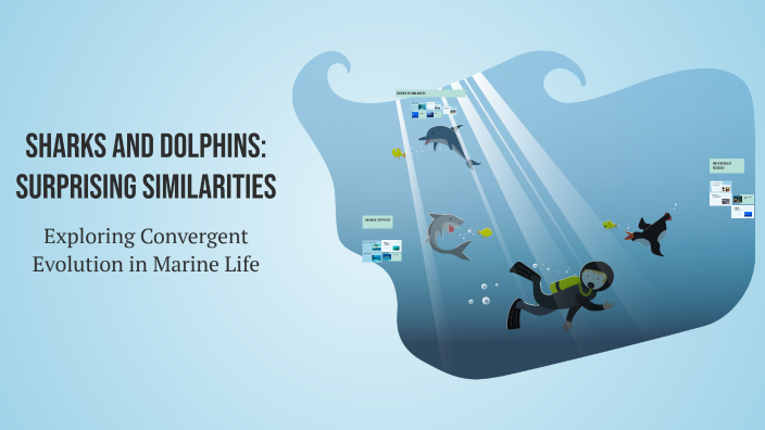 Sharks and Dolphins: Surprising Similarities by quinten gough on Prezi
