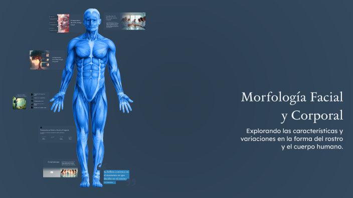 Morfología Facial y Corporal by Meryem Tt on Prezi