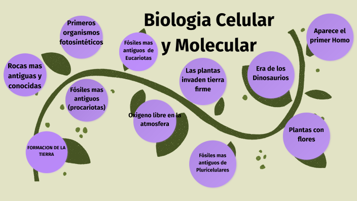 Biología Celular y Molecular. by Dayana Montoya on Prezi
