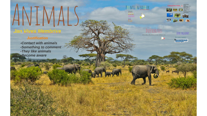 Animals by jan vives membrive on Prezi