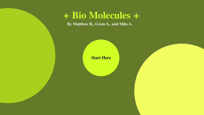 Biomolecules - Honors Biology Project by Matthew Ramirez on Prezi