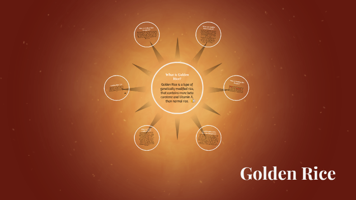 Golden Rice by Alayna Chichester on Prezi
