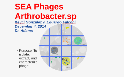 SEA Phages by Keyci Gonzalez on Prezi