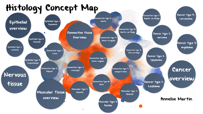 Histology Concept Map by Annelise Martin on Prezi