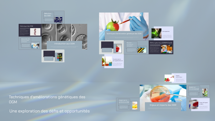 Techniques d'améliorations génétiques des OGM by Imane Mk on Prezi