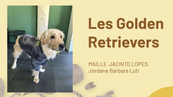MAILLE Barbara - Les Golden Retrievers by barbara Maille on Prezi