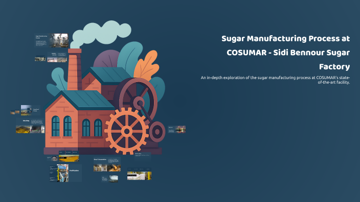 Sugar Manufacturing Process at COSUMAR - Sidi Bennour Sugar Factory by ...