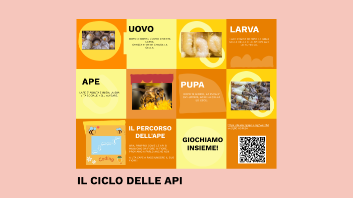 IL CICLO DELLE API by Myriam DE MATTEIS on Prezi