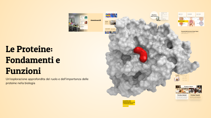 Le Proteine: Fondamenti e Funzioni by Melanie Rizzo on Prezi
