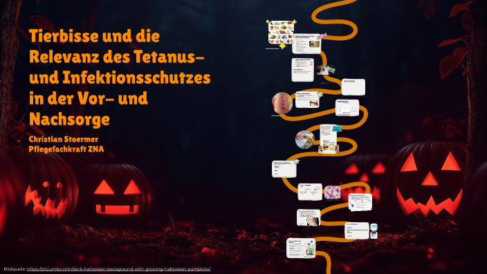 Tierbisse und die Relevanz des Tetanus- und Infektionsschutzes in der ...