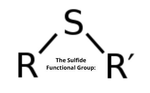The Sulfide Functional Group by Alex Thomas on Prezi