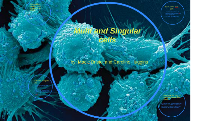 Multi and Singular cells by Caroline Huggins on Prezi