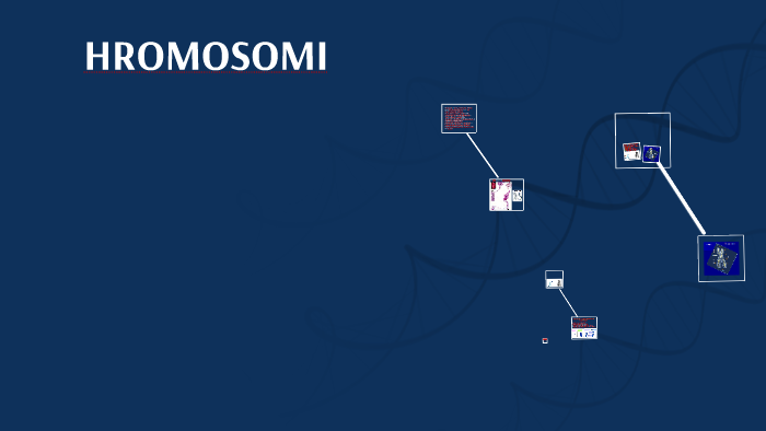 HROMOSOMI by Safet Kajevic on Prezi