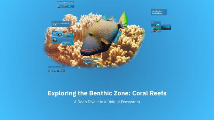 Exploring the Benthic Zone: Coral Reefs by Lendon Arrington on Prezi