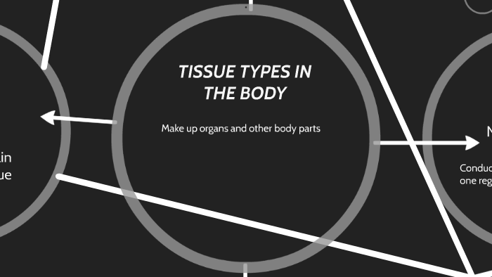 Body Tissues Concept Map by Maycie Gibson on Prezi