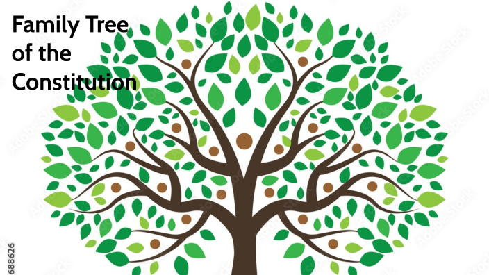 Family Tree of the Constitution by Lexus Moore-Garza on Prezi