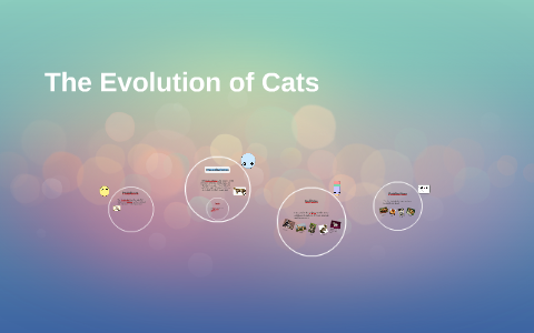 The Evolution of Cats by Lynnette ChhuMao on Prezi