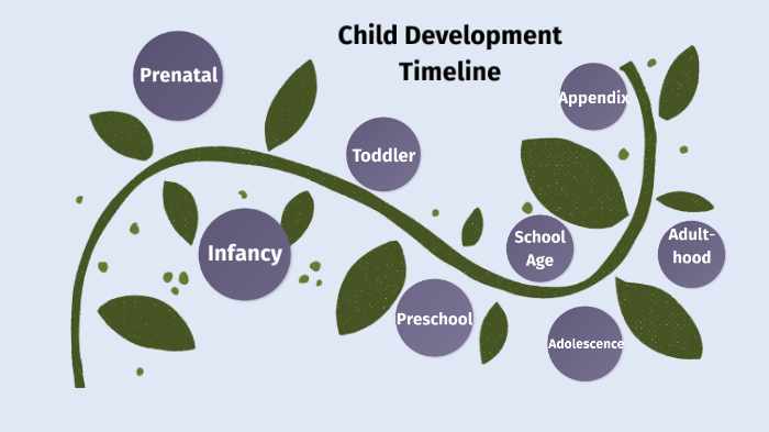 AP Psych Development Timeline by Jacob Gonzales Paz