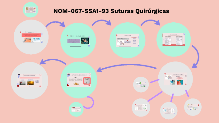 NOM 067 by Selene Solis on Prezi