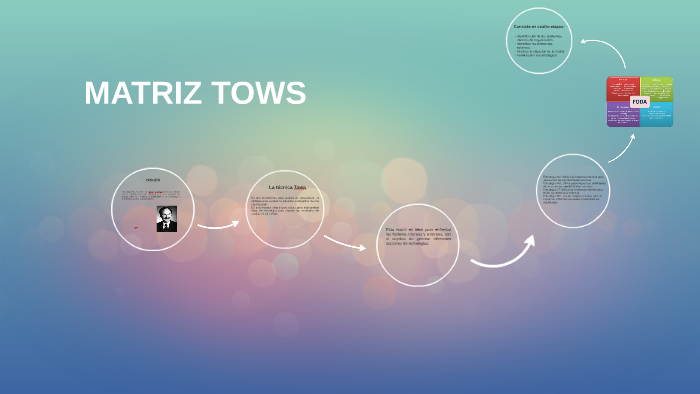 MATRIZ TOWS by Kenia Rodríguez on Prezi