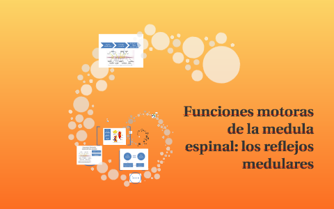 Funciones motoras de la medula espinal: los reflejos medular by ...