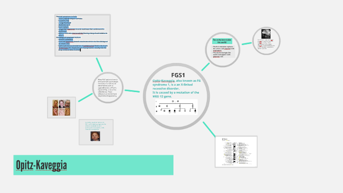 Opitz-Kaveggia by Casey Ervin on Prezi